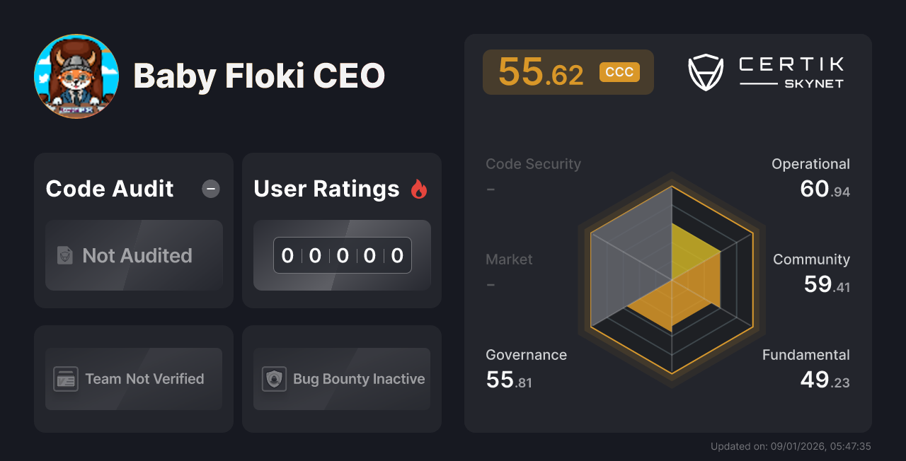 Baby Floki CEO - CertiK Skynet Project Insight