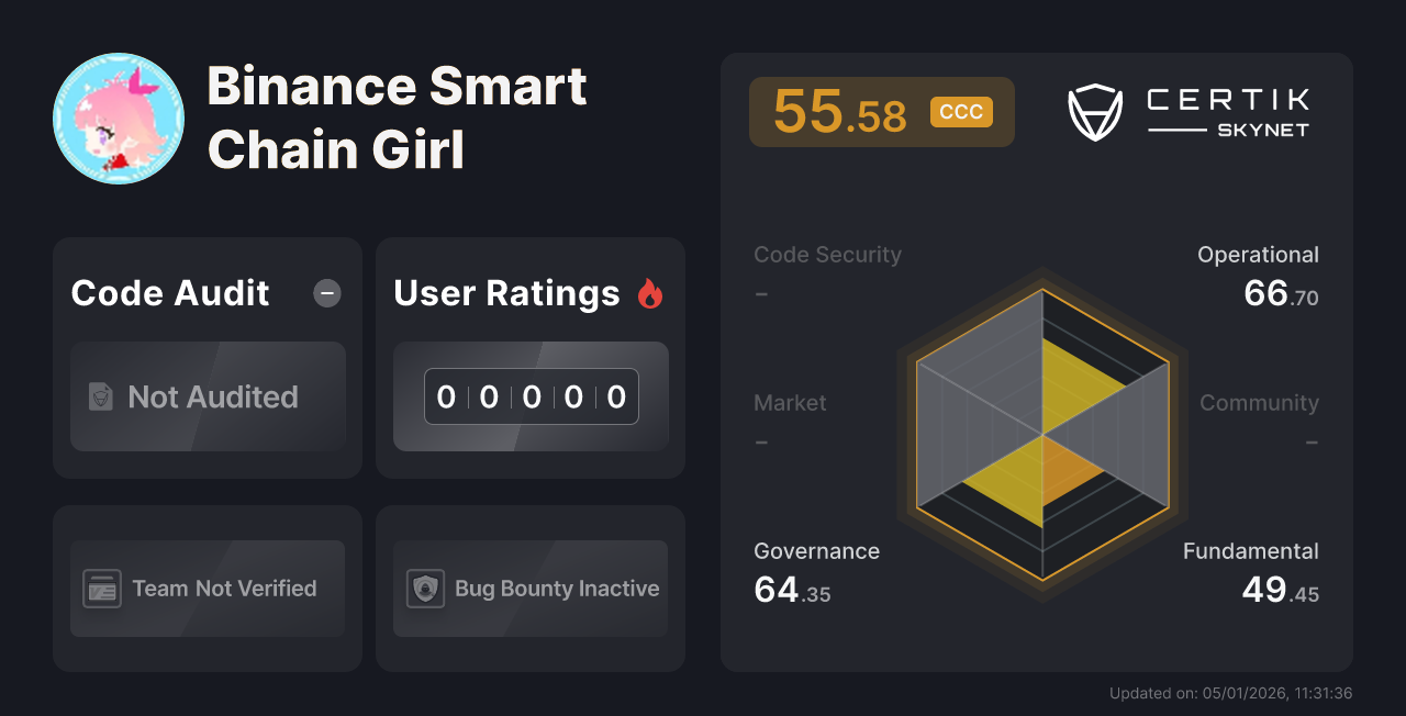 Binance Smart Chain Girl - CertiK Skynet Project Insight