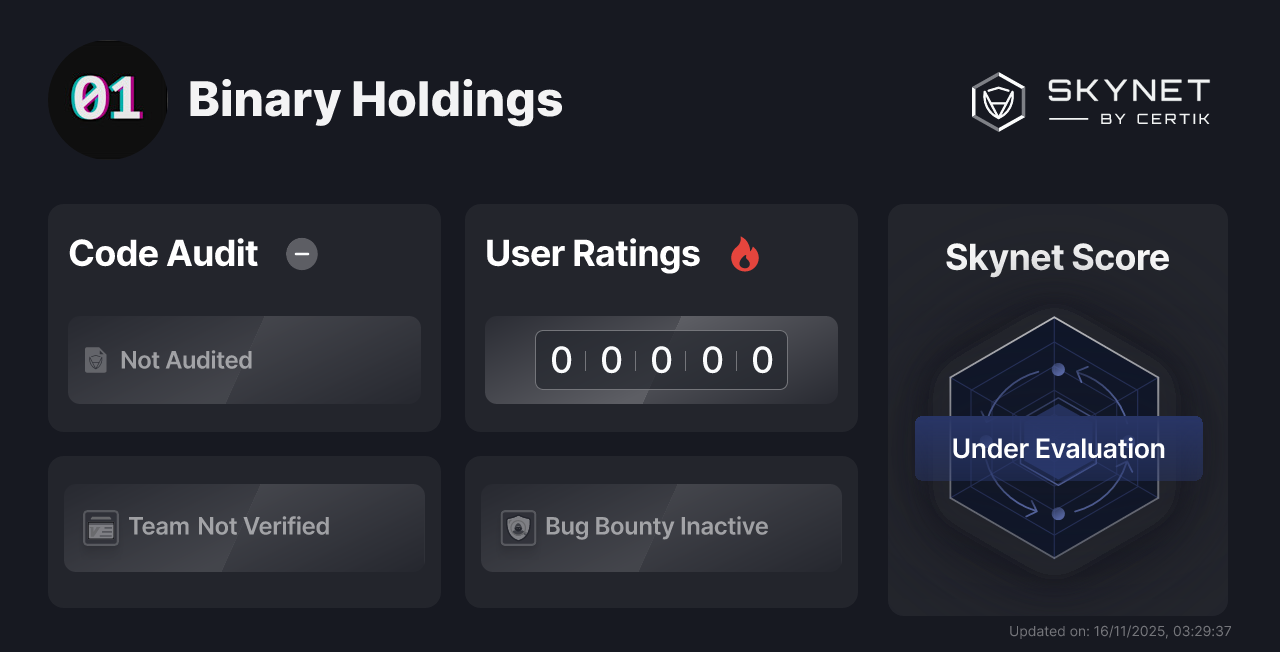 Binary Holdings - CertiK Skynet Project Insight