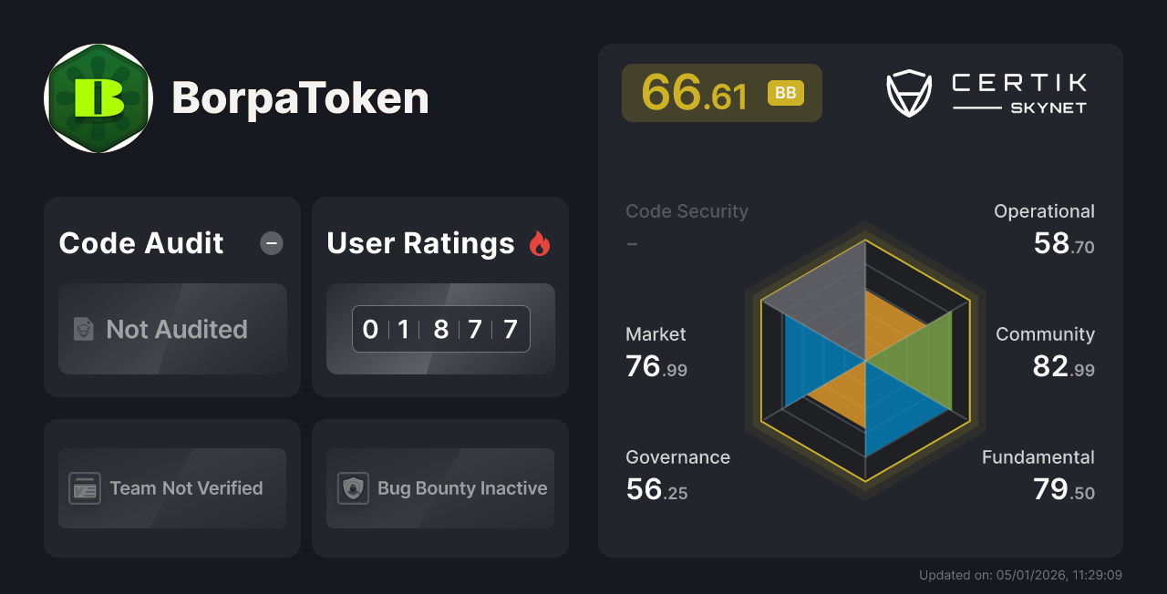 BorpaToken - CertiK Skynet Project Insight