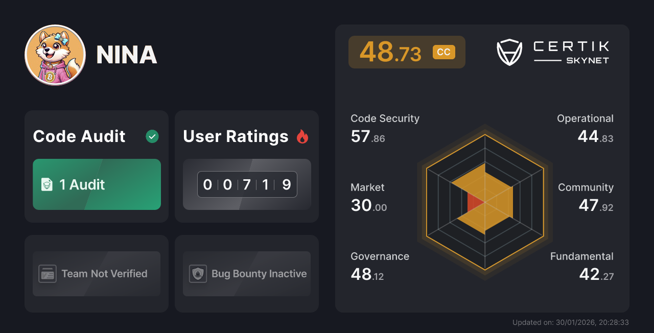 NINA - CertiK Skynet Project Insight