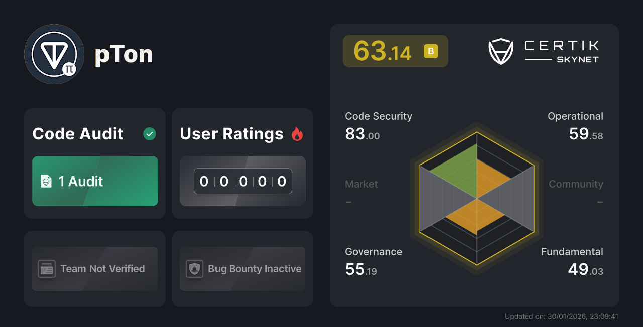 pTon - CertiK Skynet Project Insight
