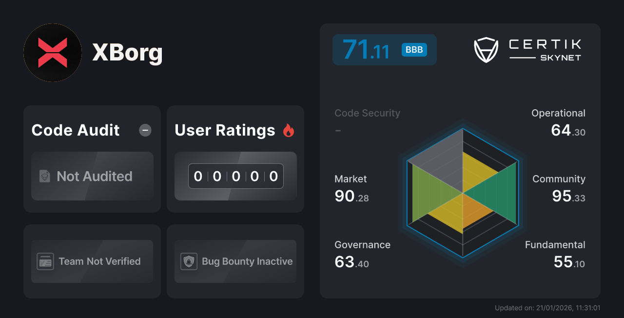 XBorg - CertiK Skynet Project Insight